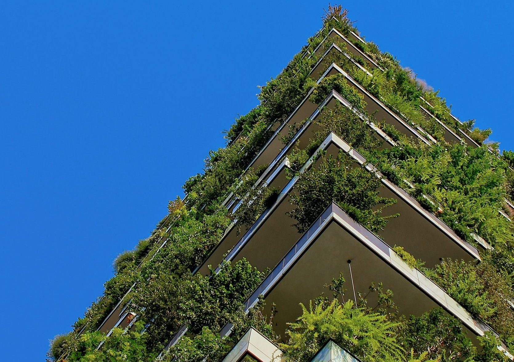 Structural steel frames continue to lead the way - Elland Steel